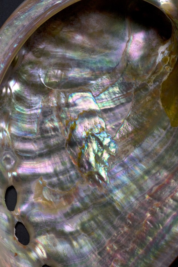 Mother of Pearl Secret Revealed - Berkeley Lab – News Center