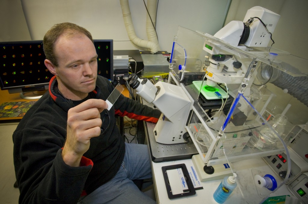 It Takes A Village: Cell Microenvironments Hold Key to Future Cancer ...