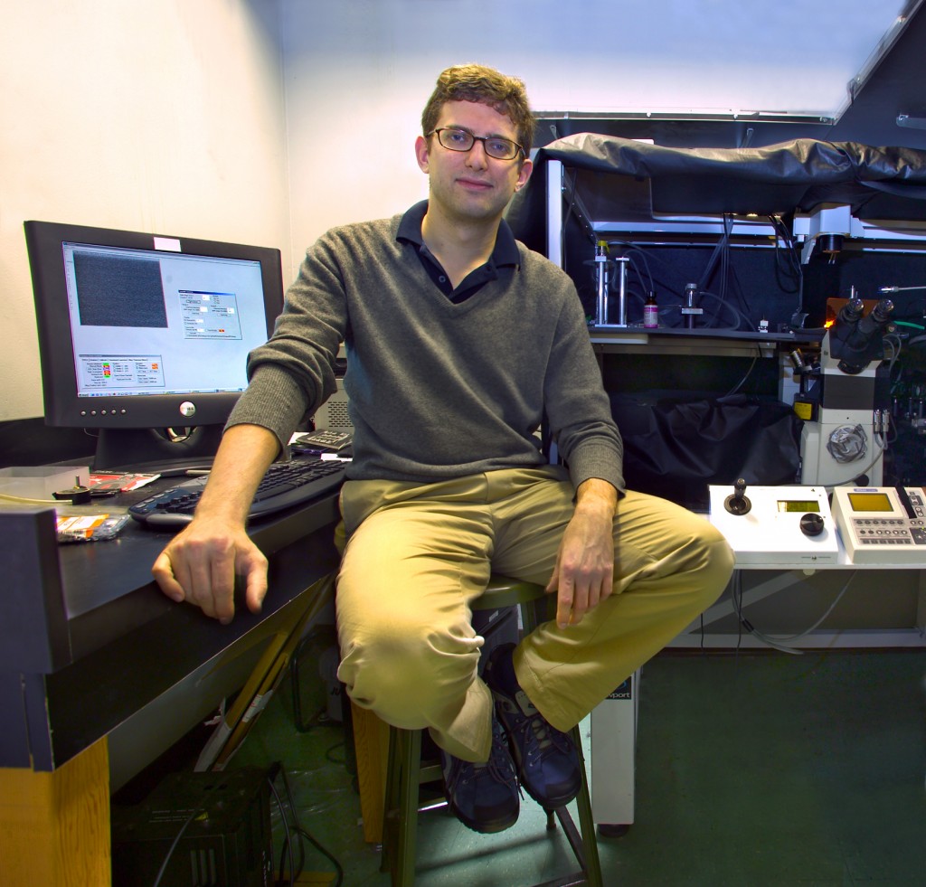 Spontaneous Assembly: A New Look at How Proteins Assemble and Organize ...