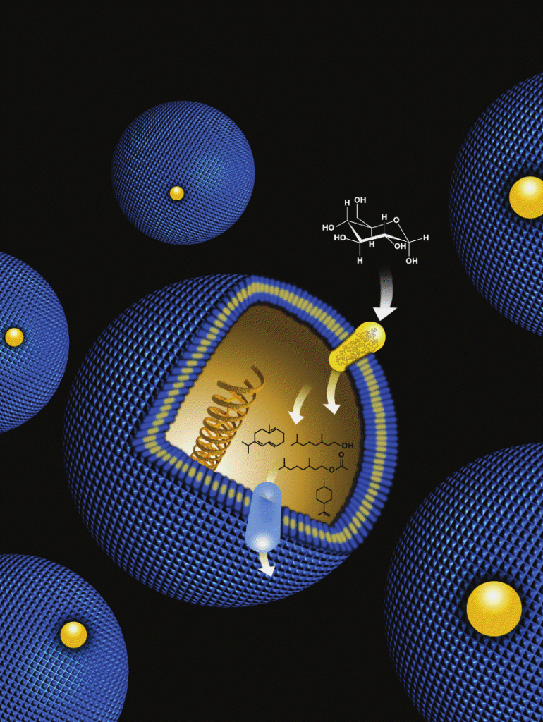 The Future of Metabolic Engineering – Designer Molecules, Cells and ...