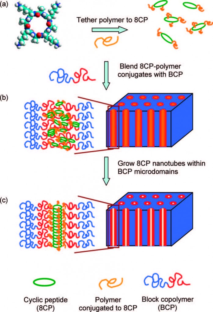 Polymer Membranes with Molecular-sized Channels That Assemble ...