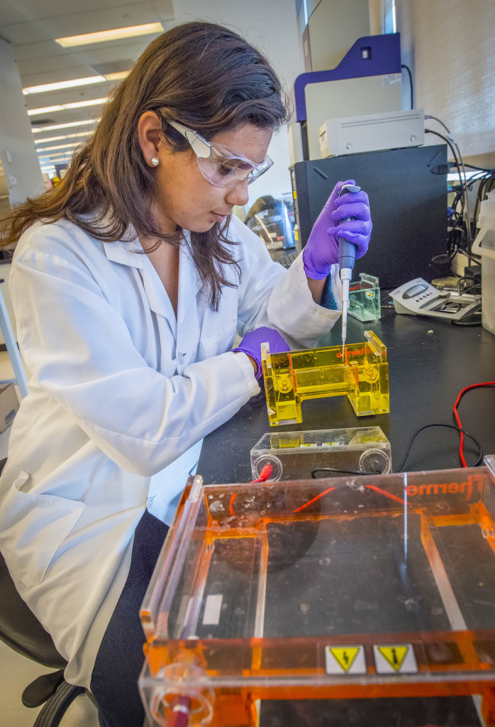 The iCLEM Program: An Atypical Summer Job for Bay Area High School ...