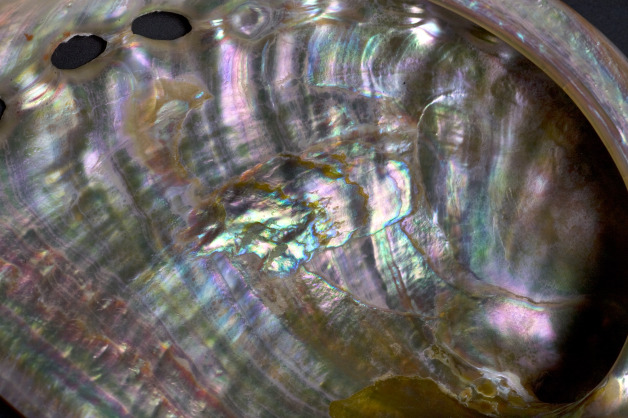 Inspired by Nature - Berkeley Lab – Berkeley Lab News Center