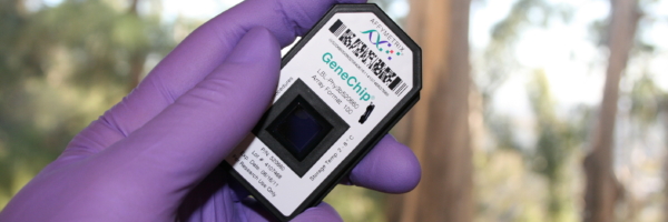 New Technology Helps Pinpoint Sources of Water Contamination - Berkeley ...