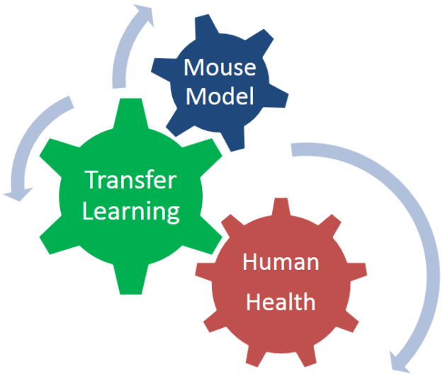 New Machine Learning Technique Provides Translational Results ...