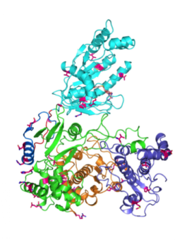 Researchers Gain Insight into Protein Critical to Zika Virus ...