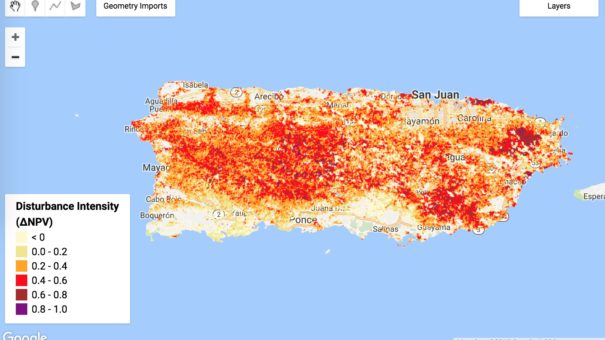 Assessing the Impact of Hurricanes on Puerto Rico’s Forests – Berkeley ...