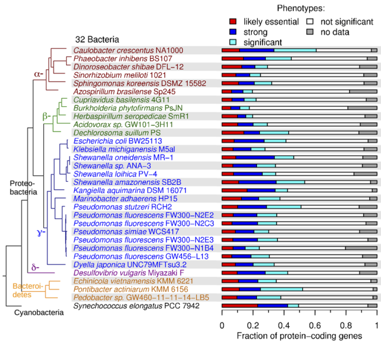 Living Large: Exploration of Diverse Bacteria Signals Big Advance for ...