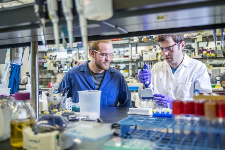 Faster, Cheaper, Better: A New Way to Synthesize DNA – News Center