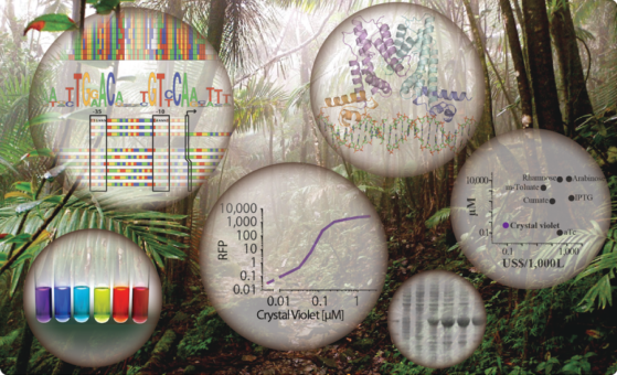 All Aboard the Jungle Express! - Berkeley Lab – Berkeley Lab News Center