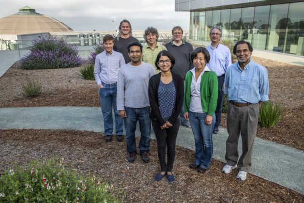 Scientists Capture Photosynthesis in Unprecedented Detail – Berkeley ...