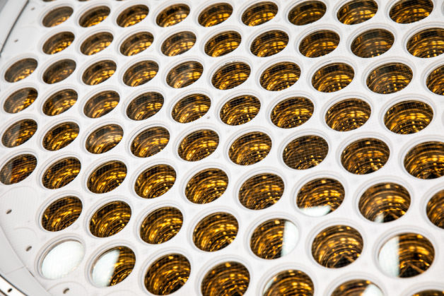 Some Assembly Required: U.S. Dark Matter Project Comes Together – News ...