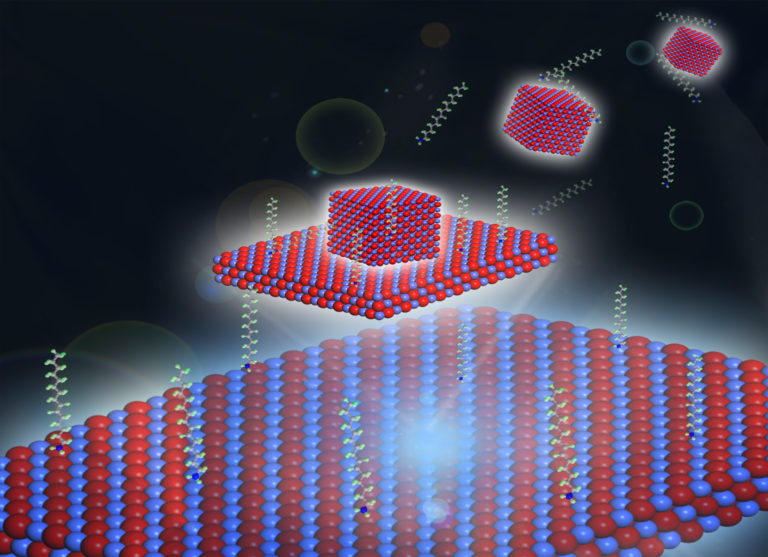 Living on the Edge: How a 2D Material Got Its Shape – Berkeley Lab News ...