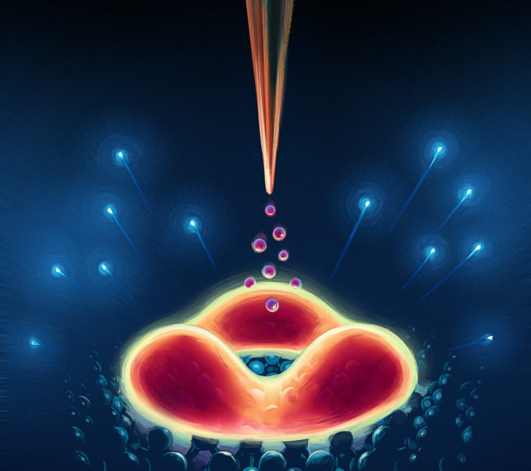 An Electrical Trigger Fires Single, Identical Photons – News Center