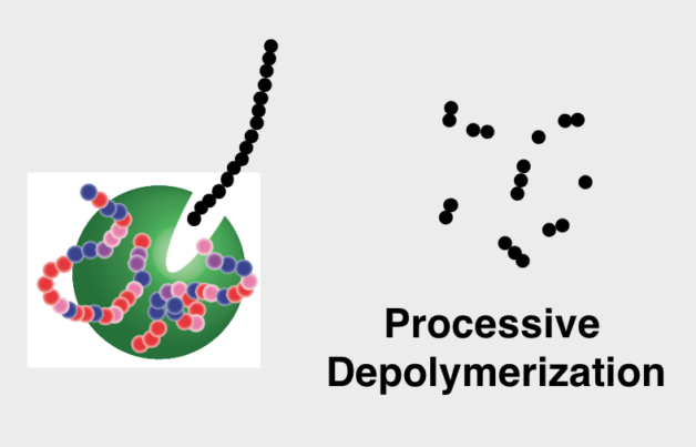 To Design Truly Compostable Plastic, Scientists Take Cues From Nature ...