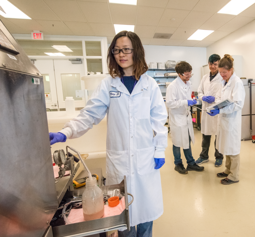 Creating Carbon Negative Materials with Ancient Microbes - Berkeley Lab – Berkeley Lab News Center